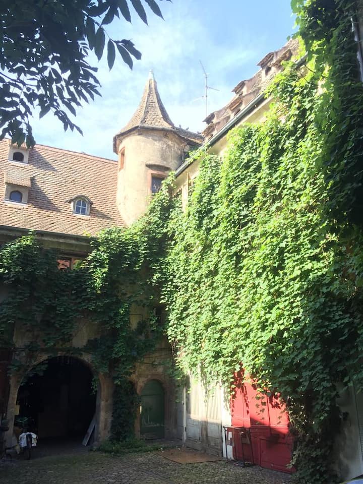 Grand Appartement De 1540, Cour Intérieure, Calme - Strassburg