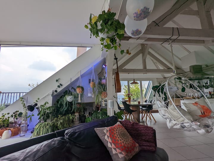 Tranquil Rooftop Oasis Near Enough City Center - Zurich