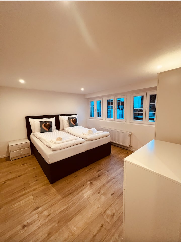 Skii Apartment In Swiss Alps, Very Spacious - Pany