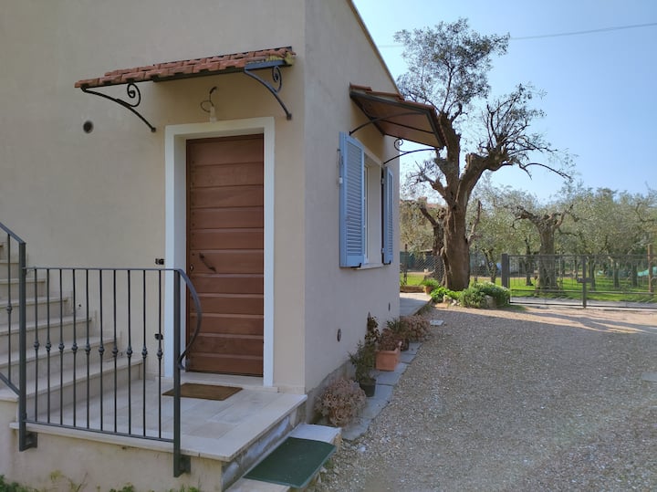 La Casetta Al Mare - Форте-деи-Марми