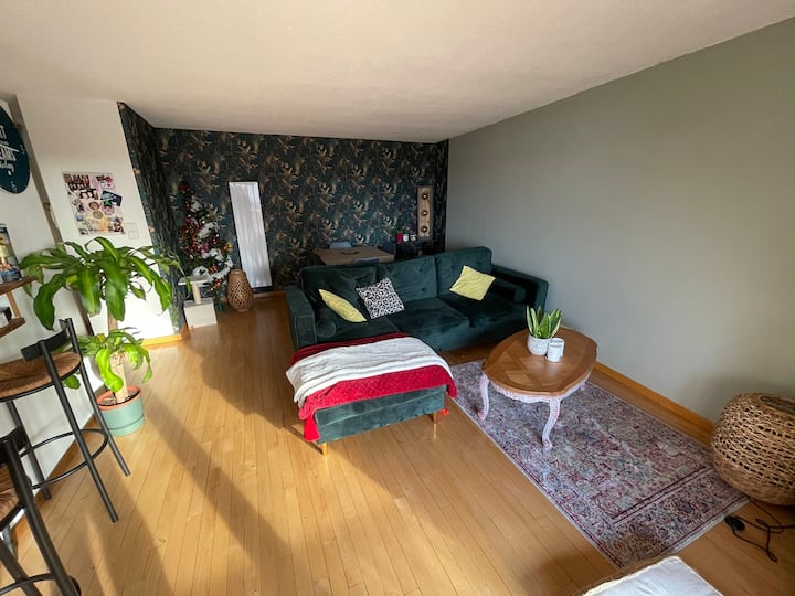 Logement Entier Charmant Et Lumineux - Toulouse