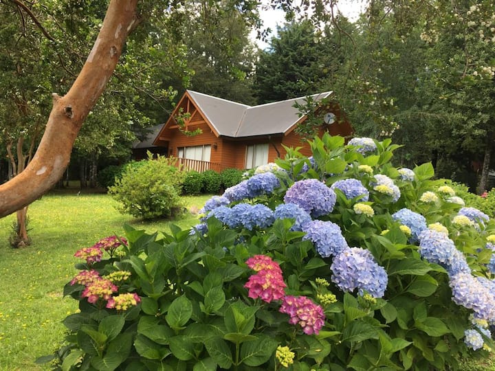 Beautyful Cottage At Lake Villarrica - Villarrica