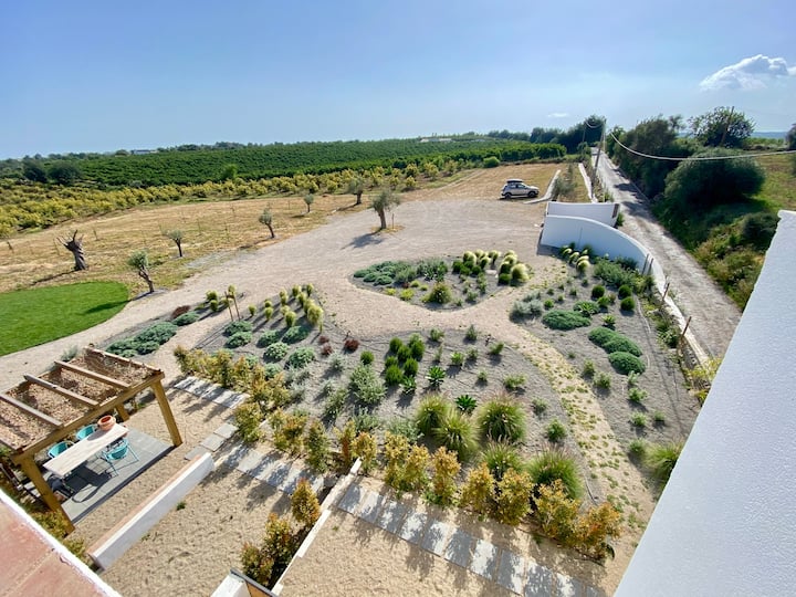 Tavira - Quinta Da Janela Azul - Romã - Tavira