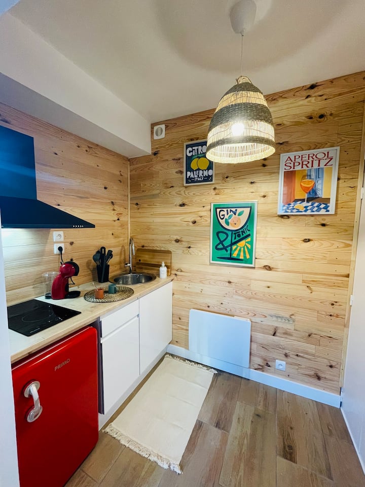 Le «&nbsp;Studio&nbsp;» Rdc à 2 Min Du Centre Ville ! - Castres