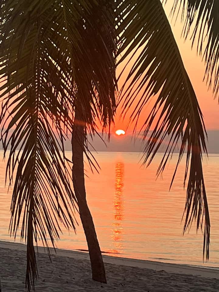 Rock & Roll Treehouse - Key West, FL