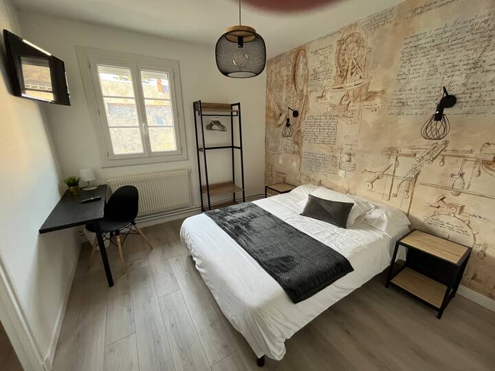 « Léonard De V »Chambre Et Sallede Douche  Privée - Amboise