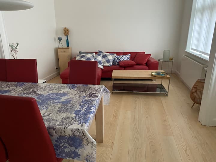 Flot Lejlighed I Hjerte Odense - Odense