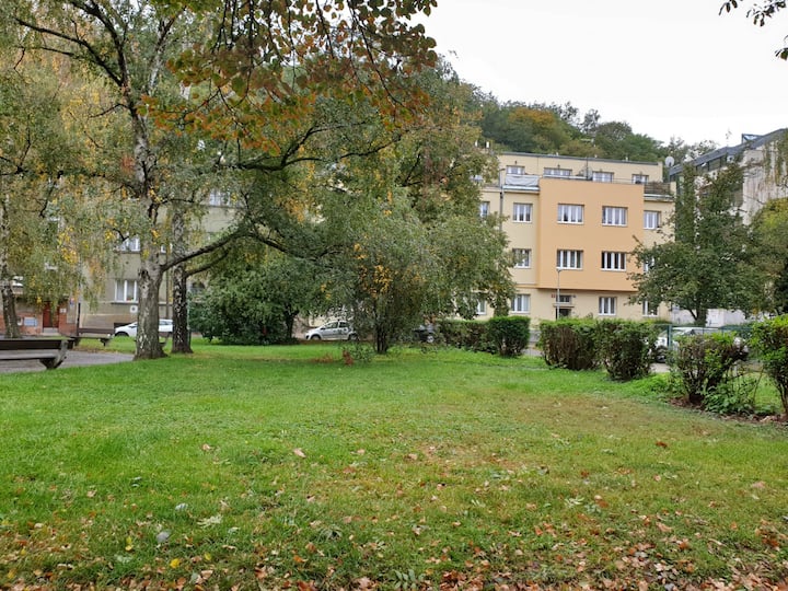 Spacious Two-room Apartment In Prague. - Prague Václav Havel Airport (PRG)
