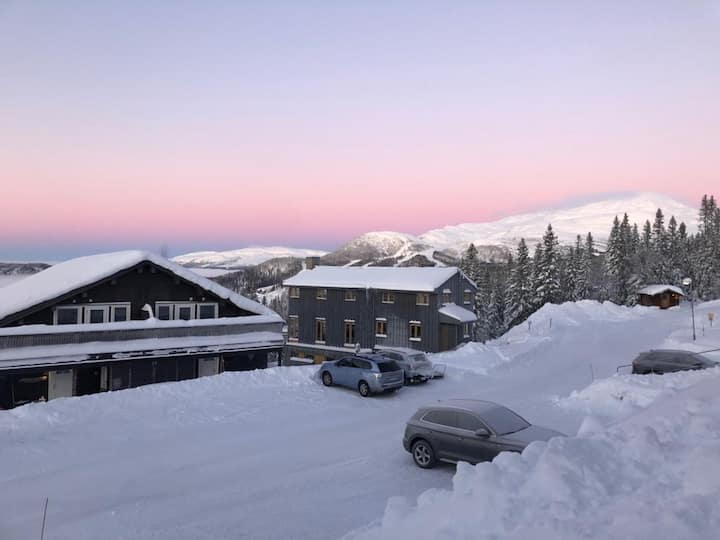 Ski In/ski Out I ÅRe Björnen - Åre