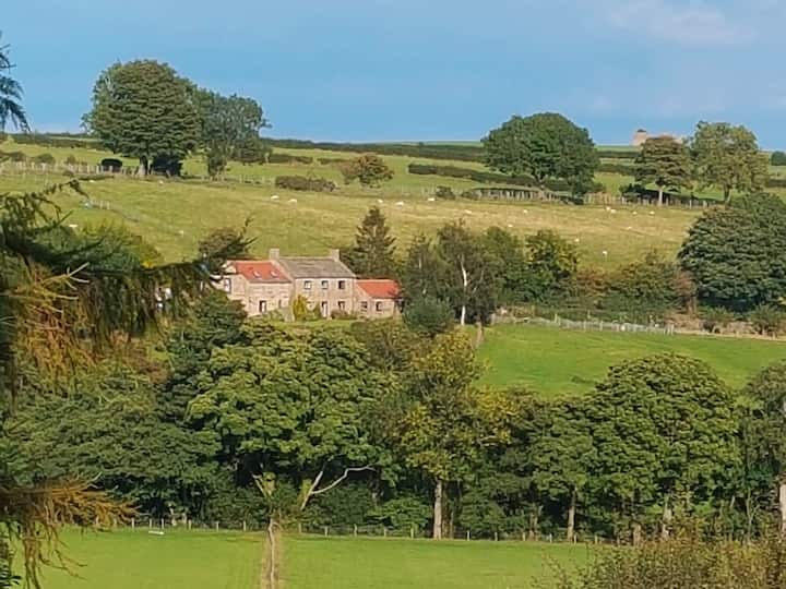 Cosy 2 Bedroom Place With Great Views For Walkers - Masham