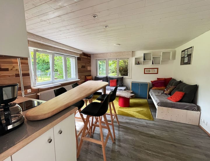 Rez De Jardin à Strasbourg 35 M2 - Strasbourg