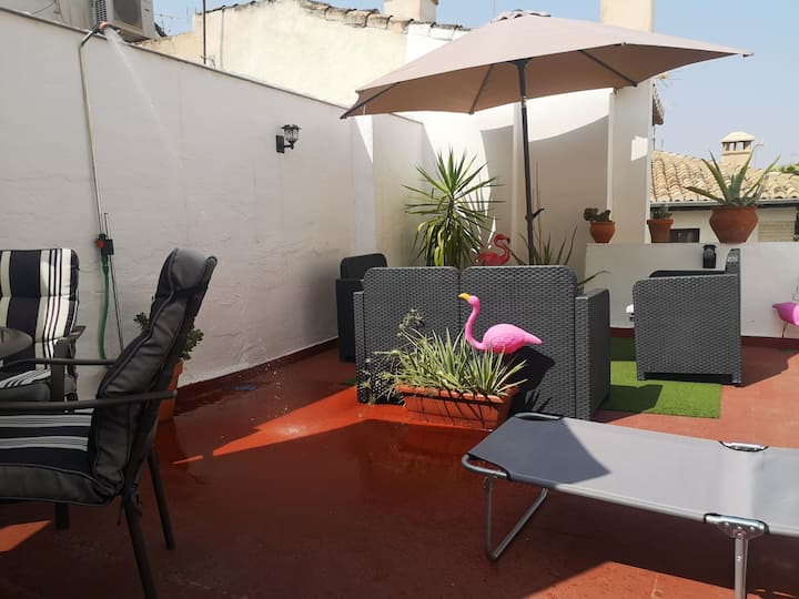 Magnífico Piso En Casa"el Tablao De Las Almendras" - Granada