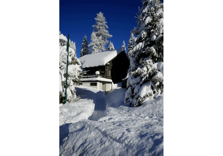 Charmantes Almhaus Mit Top Ausstattung - Österreich