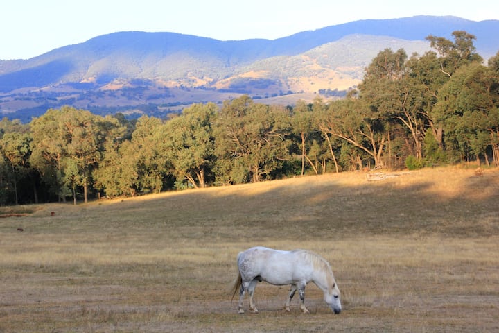 25 Acre Farmhouse Getaway - Yackandandah
