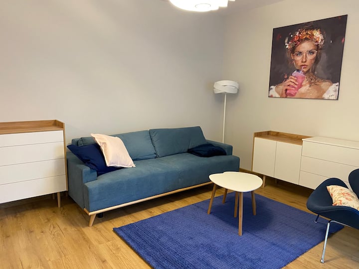 Stunning 2b Apt With Stylish Design - Varsovie