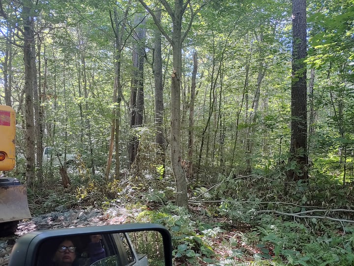 So Many Choices From Roscoe! - Livingston Manor, NY