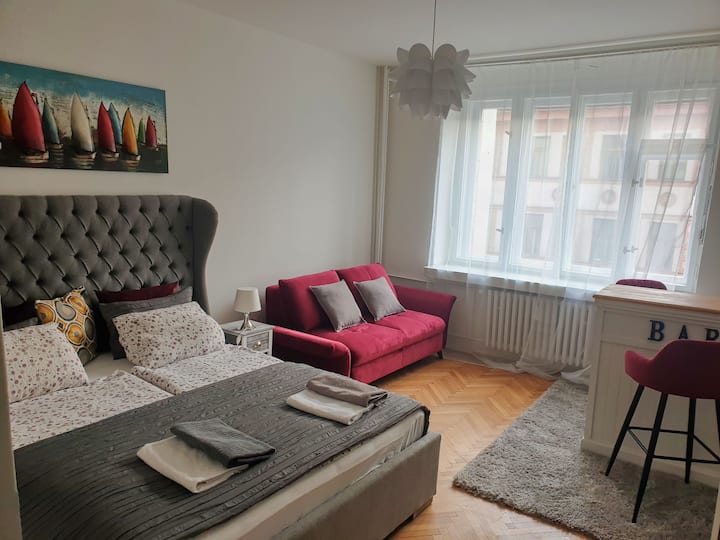 Newly Refurbished Central 91 M² - Prag