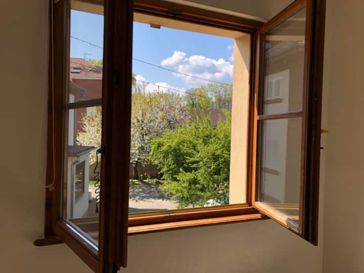 2 Pièces Confortablement Meublé - Barr