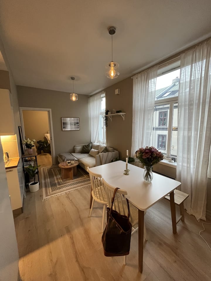 Fin, Praktisk 2-roms På Grünerløkka - Oslo