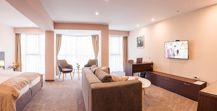 Cityscape Luxury Studio 4 - Plovdiv