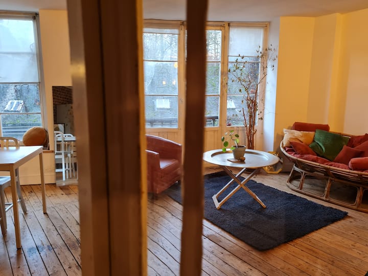 Charming Apartment In Green Area - Brüsszel