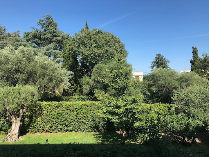 Studio Avec Terrasse Au Calme. - Juan-les-Pins