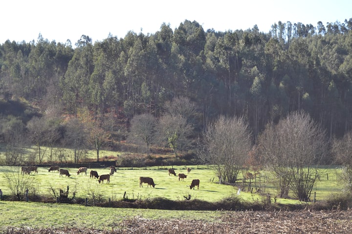 Casa Mocho Rural Shelter - Cabeceiras de Basto