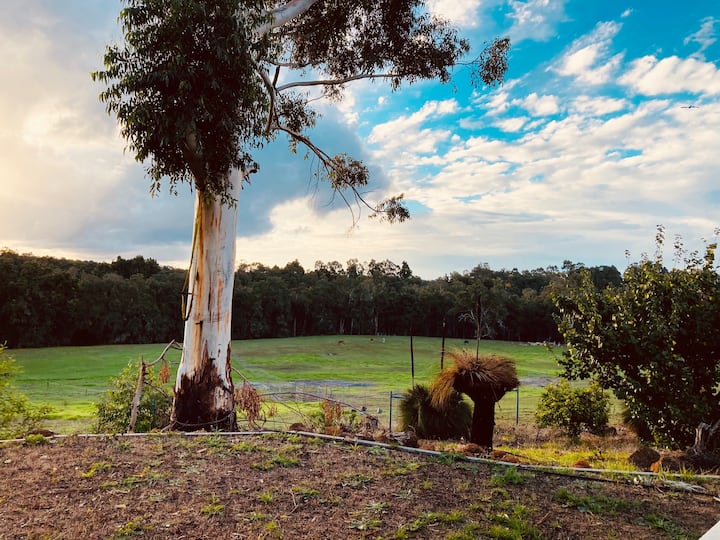 The Old Deer Farm  - Nannup Stylish Property - Nannup