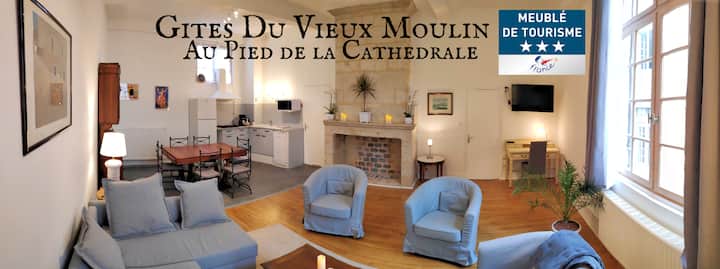 Gites Du Vieux Moulin  Apt Duplex Xxl Cathédrale - Périgueux