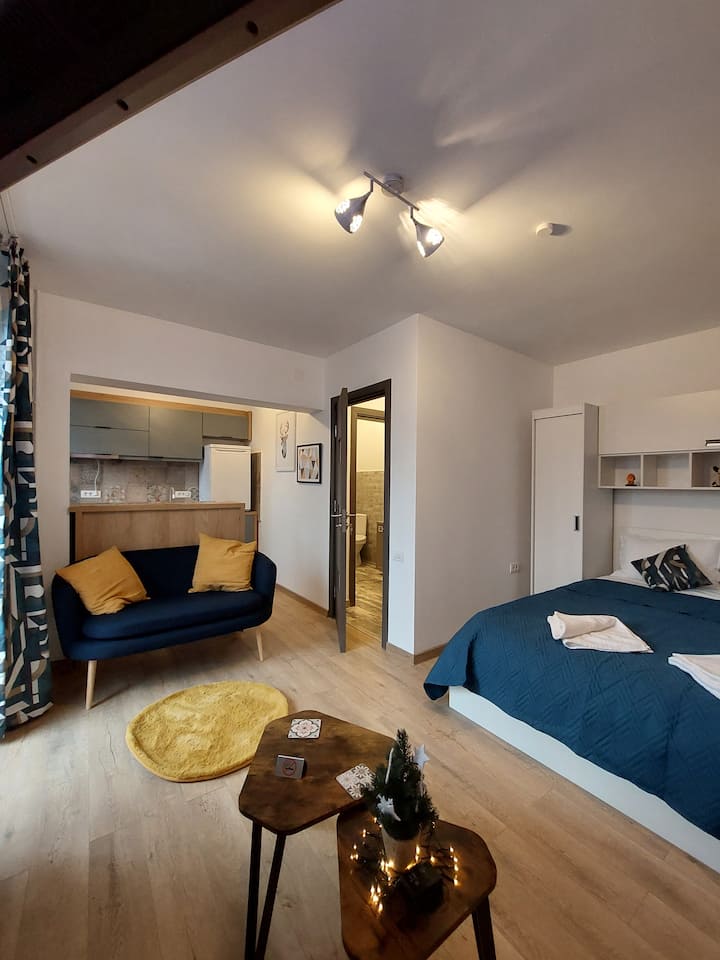 Snugstudio1-downtown With Free Private Parking - Brașov