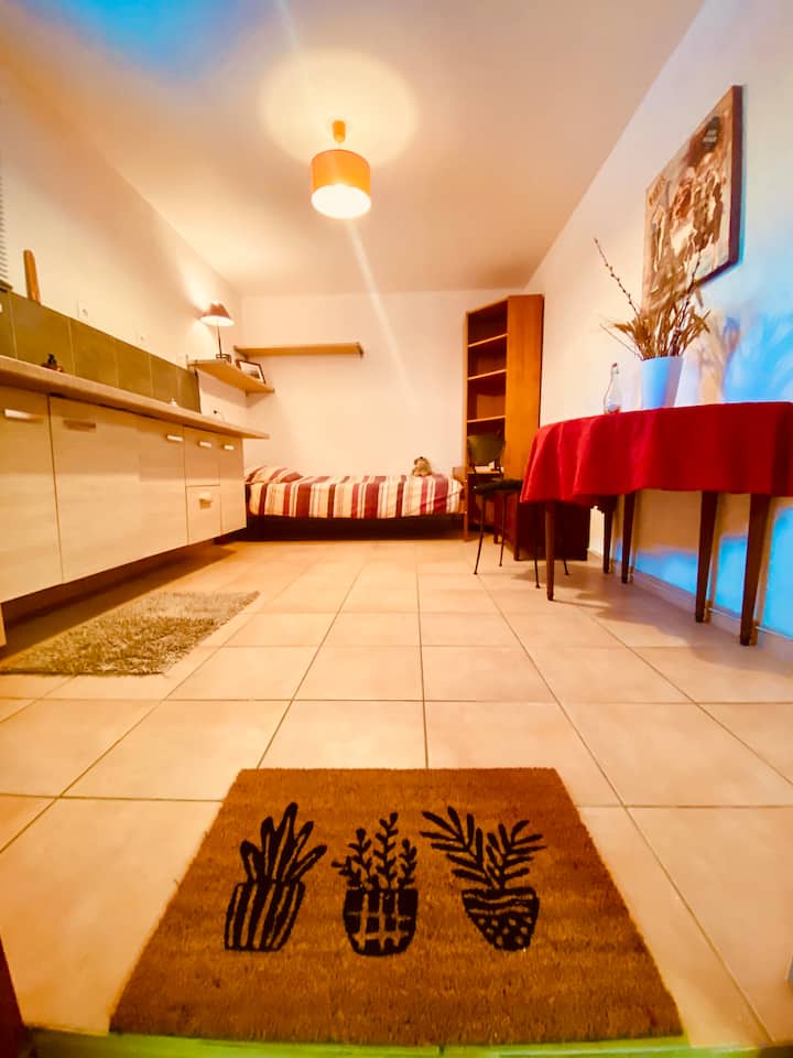 Petit Studio éQuipé - Rumilly