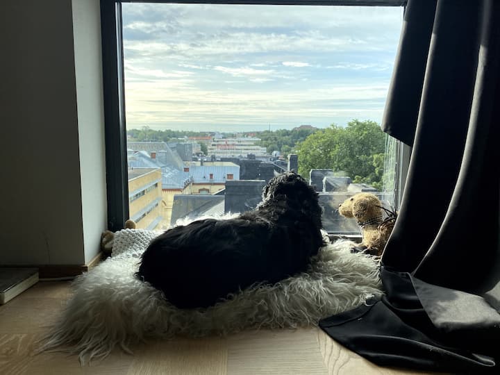 Penthouse In The City Center - 土庫