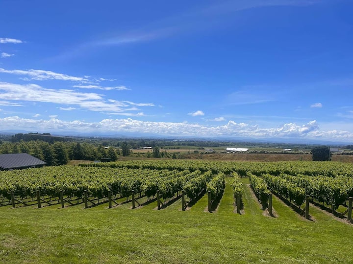A Guesthouse At The Vines - クライヴ