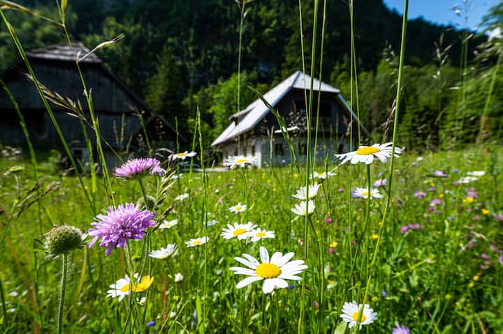 Guhar Homestead – Alpine Retreat In Radovna - Bled