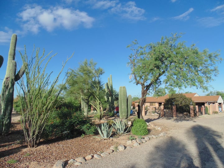 Our Upgraded Home On An Acre - Oro Valley, AZ