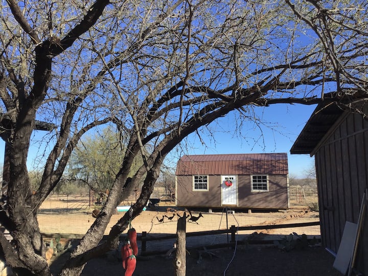 Unique Southwest Tiny Home ! 15 Min To Tubac! - Green Valley, AZ