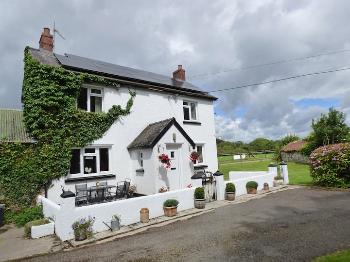 Courtlands Cottage - Saundersfoot