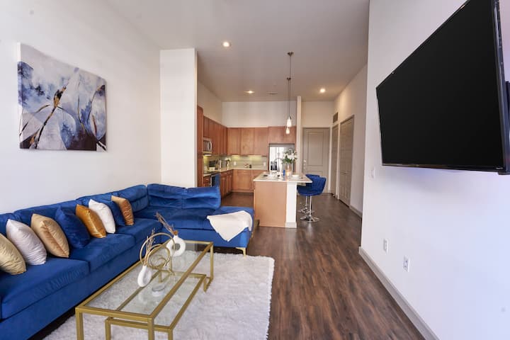 Modern, Spacious Downtown Unit With Free Parking - Houston, TX