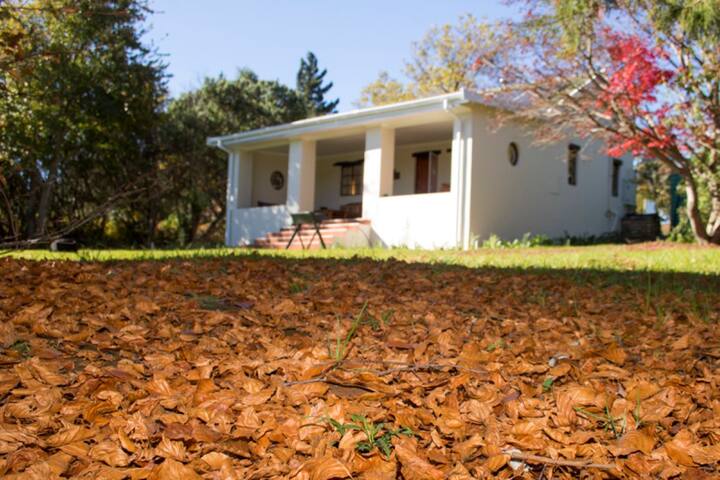 Khayalethu Cottage - Hogsback