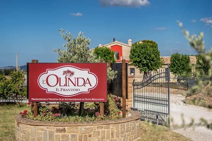 Frantoio: L'olinda - Iesi