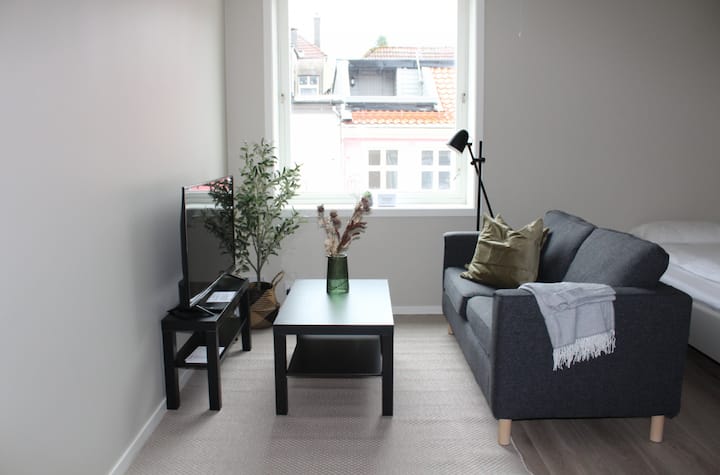 Studio Apartment In Bergen City - Bergen