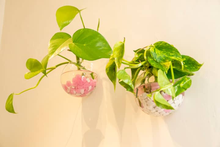 Jungle Chic Apartment - Florence