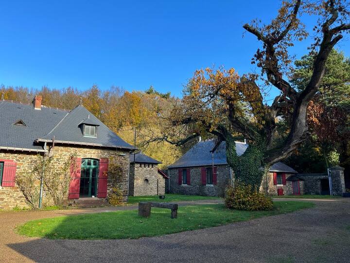 Maison Proche Puy Du Fou - Beaupréau