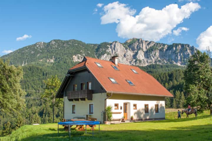 Ferienhaus Nassfeld - Hermagor-Pressegger See