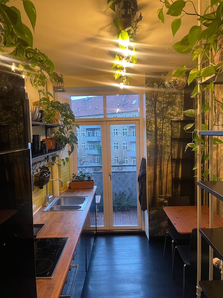 Small Cozy Nørrebro Apartment With Balcony - Copenhagen