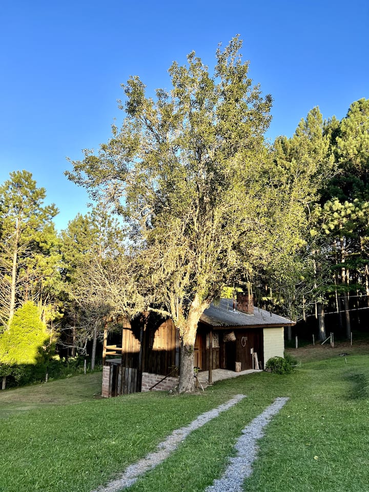 Cabana Das Araucárias - Refúgio Do Moinho - Canela