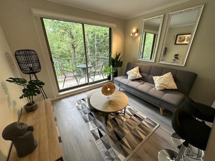 Hermoso Departamento Pucon - Pucón