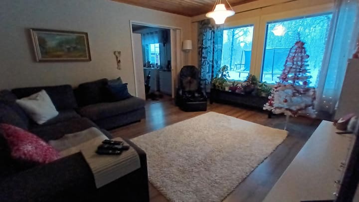 Unique White Snow Experience - 로바니에미