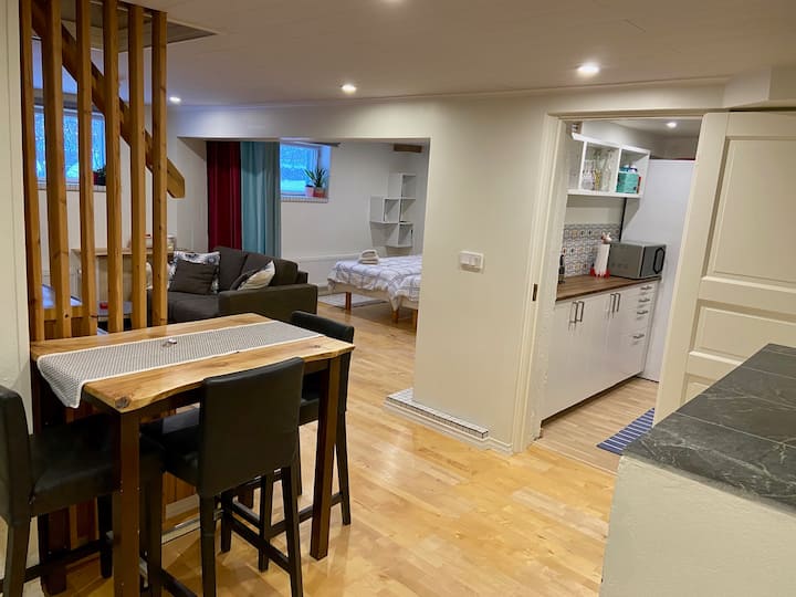 Basement Apartment And Sauna (60m2) - Helsinki