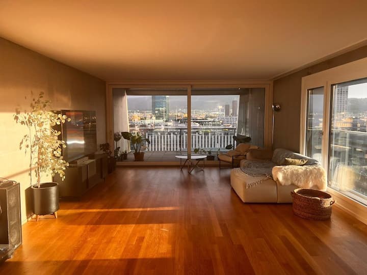 Zimmer Mit Grossartiger Aussicht - Zurich